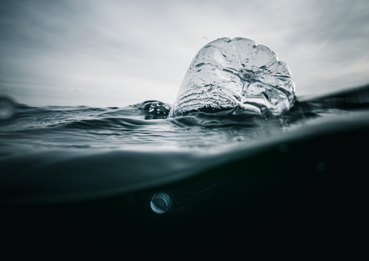 Breaking the Plastic Wave | The Birdsong Life